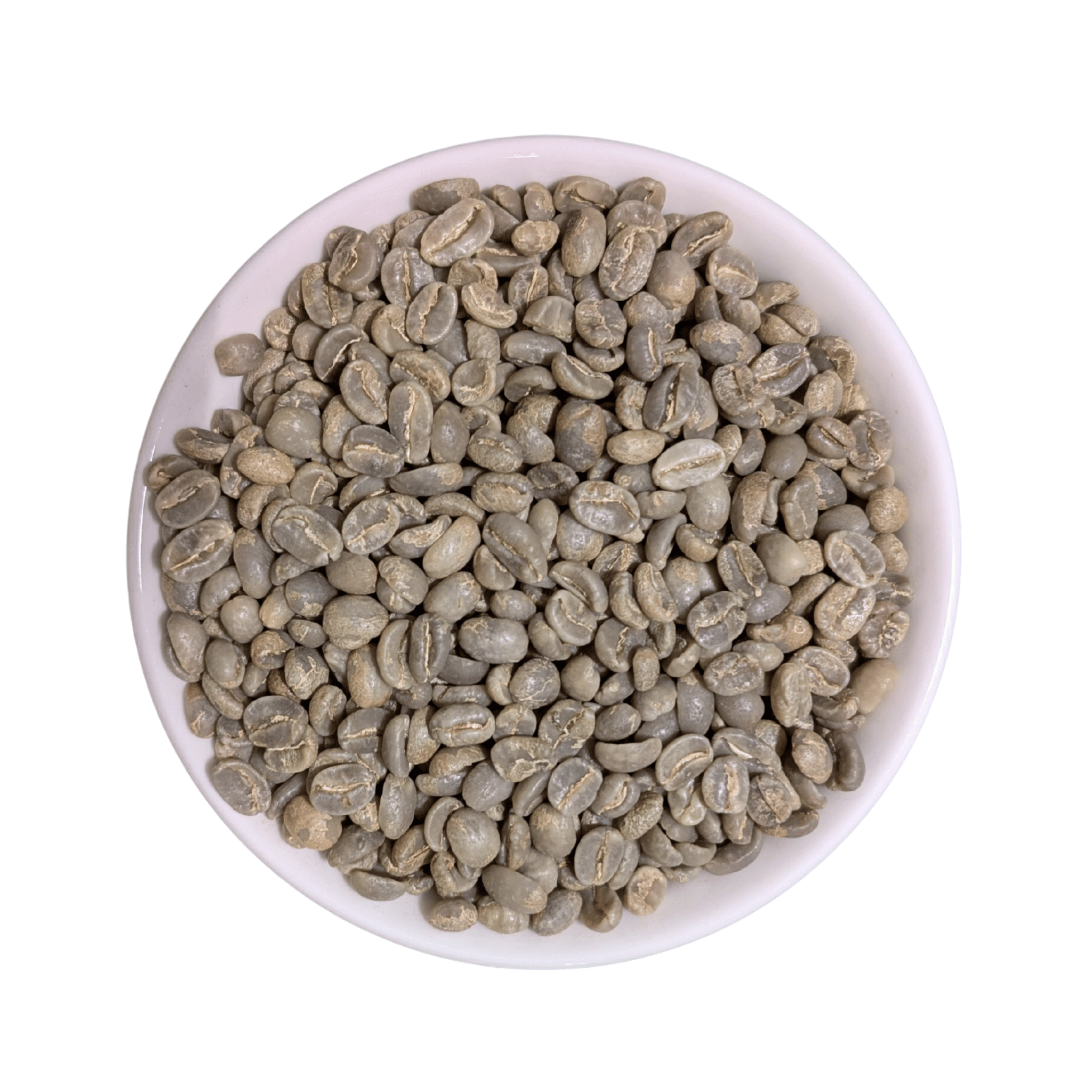 Specialty Green & Roasted Coffee Beans Canada | United Beans
